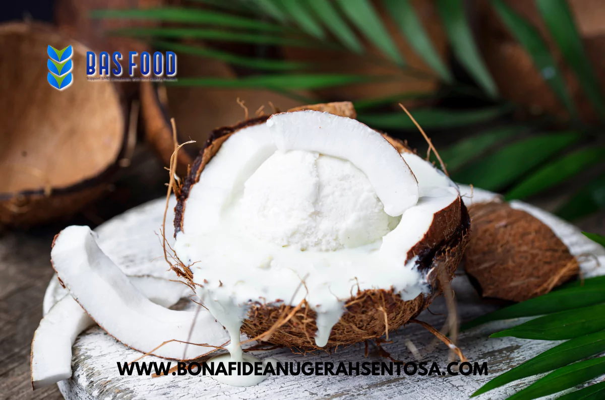 Frozen Coconut Milk Cream Supplier: Pure Taste from Tropics - bonafideanugerahsentosa.com